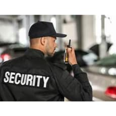 A guide to using advanced radio systems to enhance security | Bridge ...